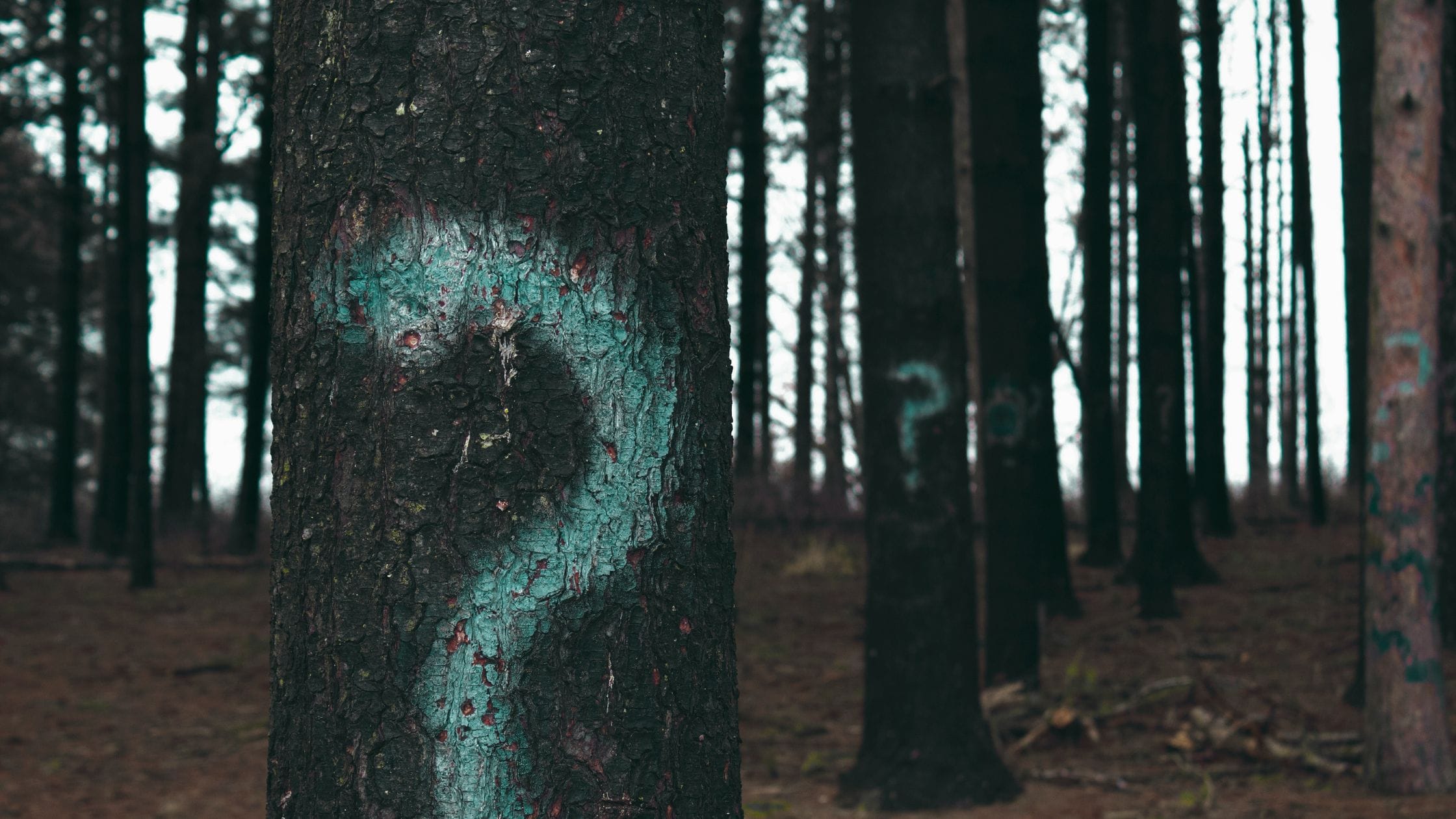 Is Ought Problem: Fact And Values Intertwined