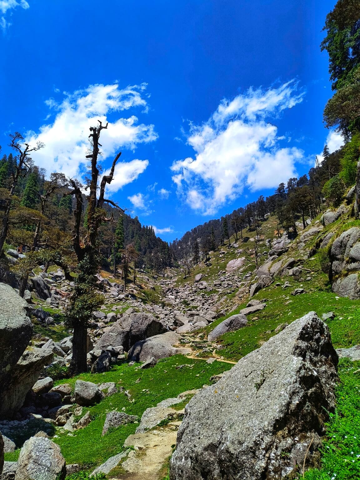 Everything You Need To Know About Kareri Lake Trek